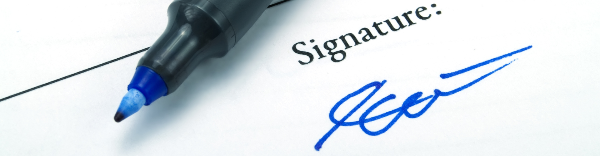 Document Examination Services | Expert View and Analysis