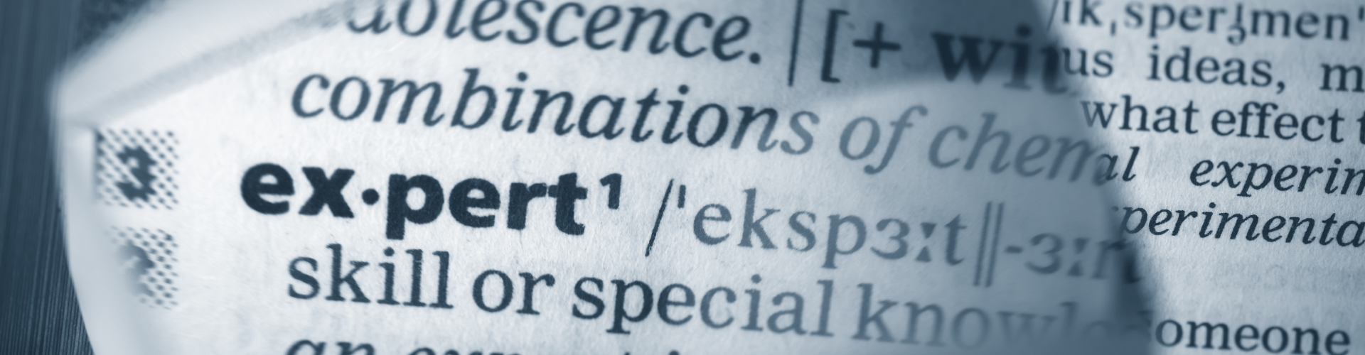 Single Joint Expert Statements: Protocol and Format