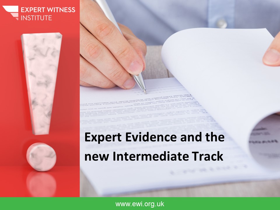 Understanding the Role of Expert Evidence in the...