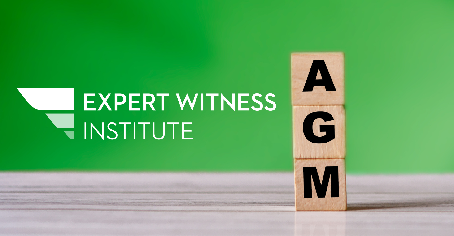 Expert Witness Institute > News > Case Updates
