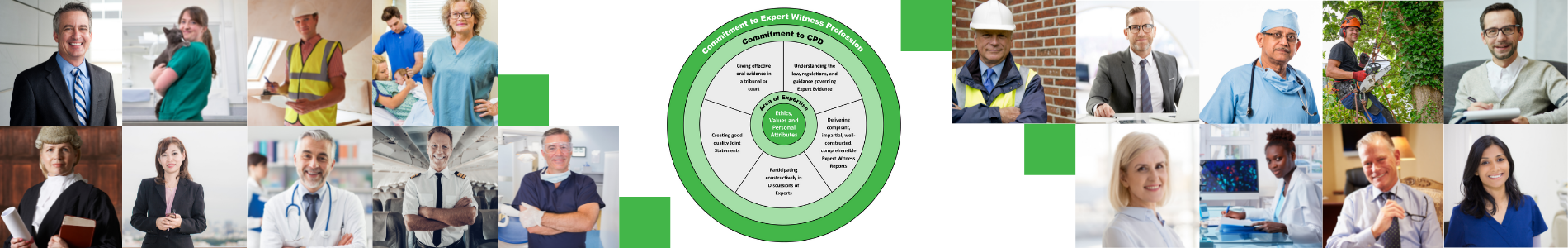 Core Competencies for Expert Witnesses